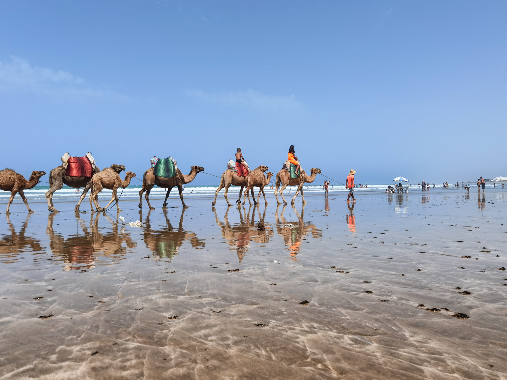 Rann Utsav 2026 A Journey Through white sands with ITH - Indian Travel ...